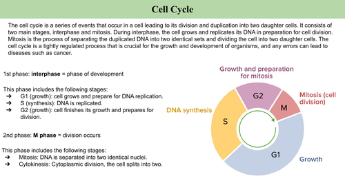 Cell Division | Teaching Resources