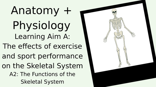 btec-sport-anatomy-skeletal-system-teaching-resources