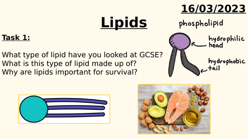 AQA A LEVEL BIOLOGY - LIPIDS | Teaching Resources