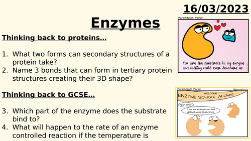 AQA A LEVEL BIOLOGY - ENZYMES | Teaching Resources