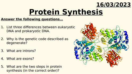 AQA A LEVEL BIOLOGY - PROTEIN SYNTHESIS | Teaching Resources