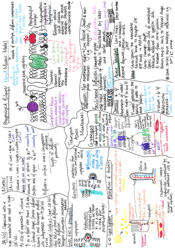 A level Biology Knowledge Organiser AQA Transport Revision Notes ...