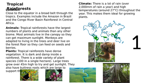 KS3 Geography - Ecosystems - Introduction to Biomes | Teaching Resources
