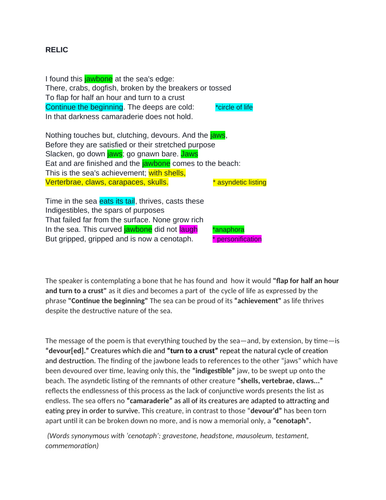 Relic - Revision Notes Ted Hughes Poetry Anthology iGCSE CIA analysis ...