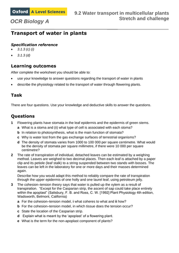 Transpiration Stream and Cohesion Tension Theory | Teaching Resources