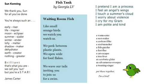 Introduction to poetry of Character and Voice KS3 | Teaching Resources