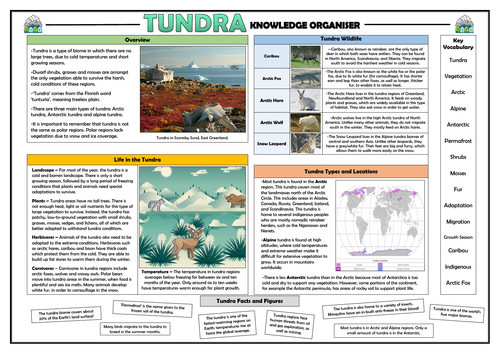 Tundra Knowledge Organiser! | Teaching Resources