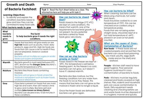 KS3/KS4 Cover Work - Bacteria and Keeping Foods Safe | Teaching Resources