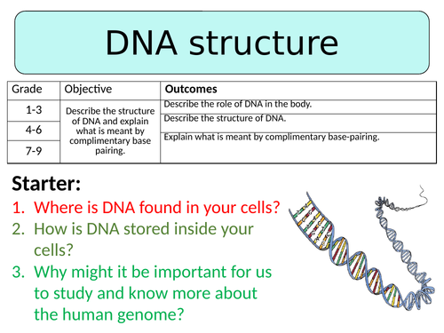 OCR GCSE (9-1) Biology - DNA | Teaching Resources