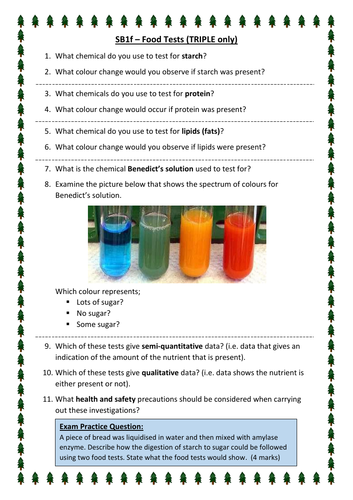 SB1f - Food Tests Core Practical (Edexcel) | Teaching Resources