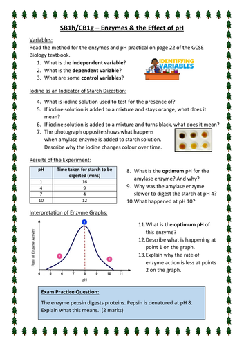 SB1h/CB1g - Enzymes & pH Core Practical (Edexcel) | Teaching Resources