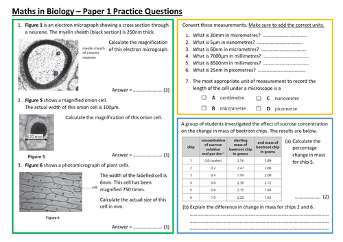 Maths in Biology - Edexcel GCSE Biology Paper 1 | Teaching Resources