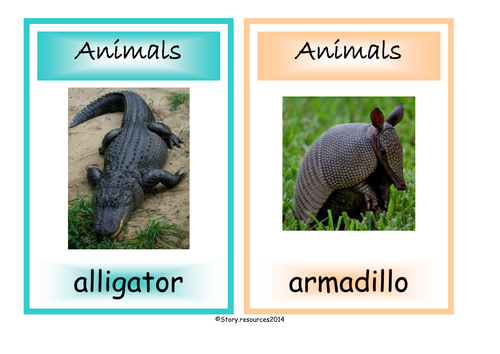 ANIMAL FLASHCARDS | Teaching Resources