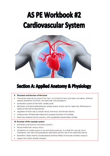 Cambridge AS PE - Cardiovascular System (bundle) | Teaching Resources
