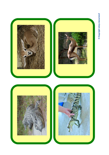 RUMBLE IN THE JUNGLE MATCH MUMMY AND BABY ANIMALS STORY RESOURCE EYFS ...