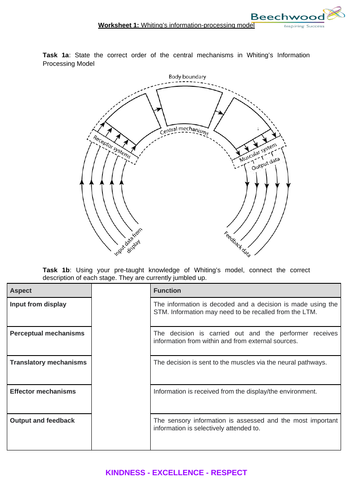 Whiting’s information processing model | Teaching Resources Whiting’s information processing model | Teaching Resources