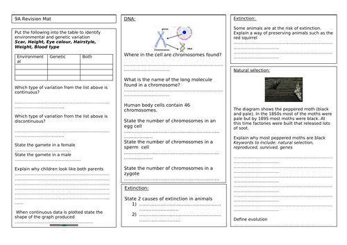 Exploring Science How Science Works Year 9 Student Book Year 9 Science
