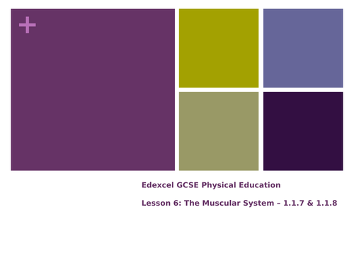 Muscular System - Lesson 6, 7 & 8 | Teaching Resources