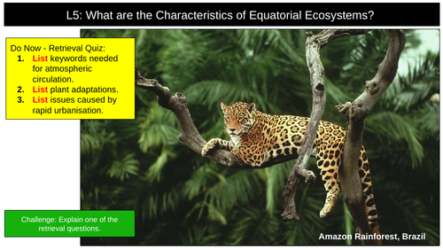 Equatorial Ecosystems Rainforests | Teaching Resources