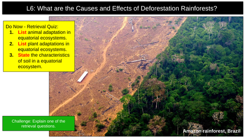 Deforestation Rainforests | Teaching Resources