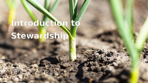 Stewardship of Creation | Teaching Resources