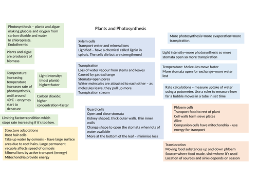 Biology Paper 2 Revision posters | Teaching Resources
