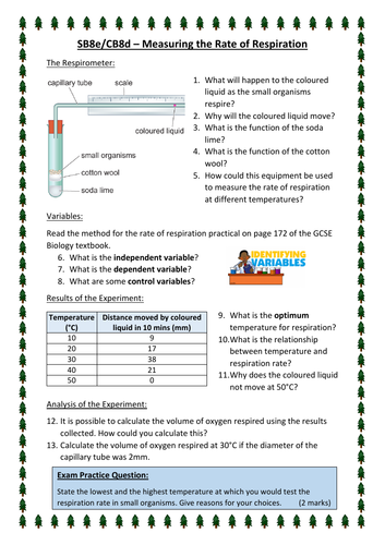 Sb8e Cb8d Respiration Core Practical Edexcel Teaching Resources