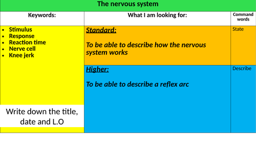 The Nervous system | Teaching Resources