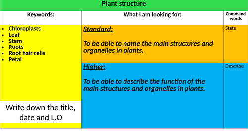 Plant structure | Teaching Resources