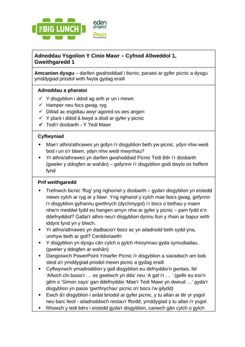 Picnic Tedi Bêr / Teddy Bear's Picnic | Teaching Resources