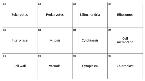 B1 key words and definition cards | Teaching Resources