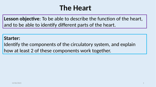 The Heart | Teaching Resources