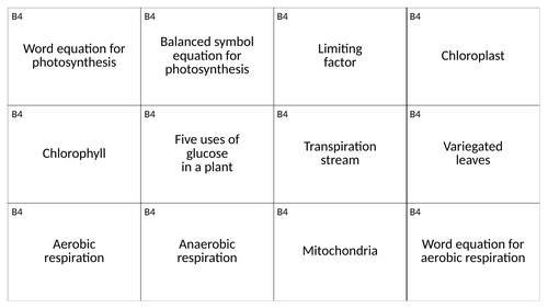 B4 key words and definition cards | Teaching Resources