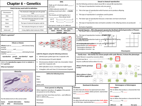 Genetics revision broadsheet AQA GCSE KS4 | Teaching Resources