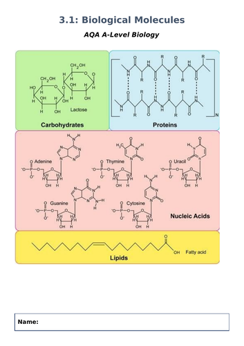 AQA A Level Biology - 3.1 Biological Molecules FULL TEACHING BOOKLET ...