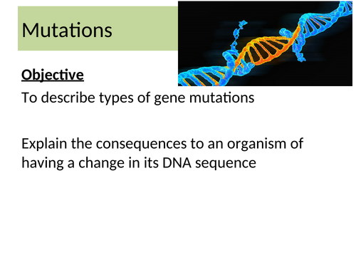 Mutations and mutagens | Teaching Resources