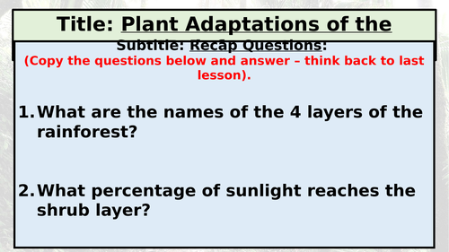 KS3: Tropical Rainforests: L4: Plant Adaptations | Teaching Resources KS3: Tropical Rainforests: L4: Plant Adaptations | Teaching Resources