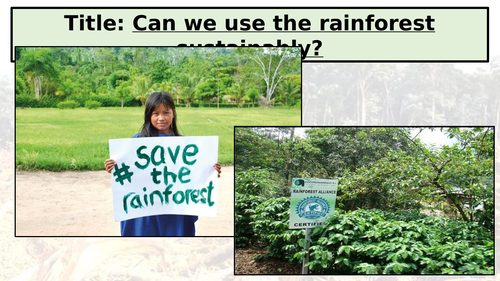 KS3: Tropical Rainforests: L11: Sustainable Use | Teaching Resources