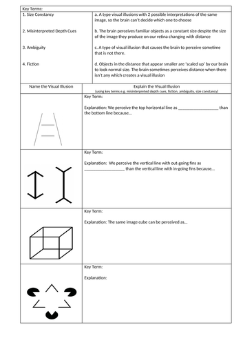 Explaining Visual Illusion (GCSE Psychology AQA) | Teaching Resources