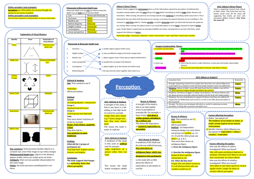 Perception Knowledge Organiser (GCSE Psychology AQA) | Teaching Resources