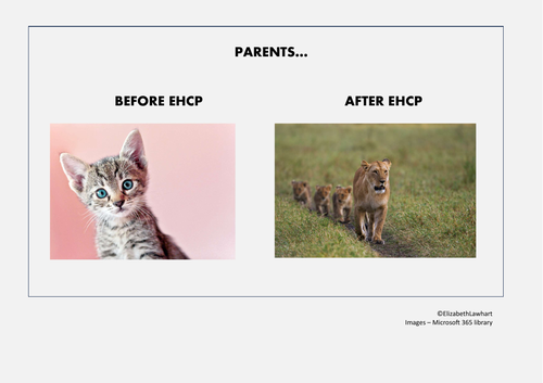 EHCP poster | Teaching Resources EHCP poster | Teaching Resources