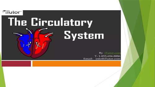 circulatory system | Teaching Resources