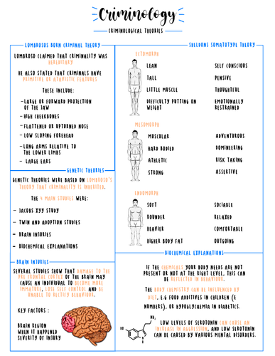 AS Criminology Criminological Theories Summary | Teaching Resources