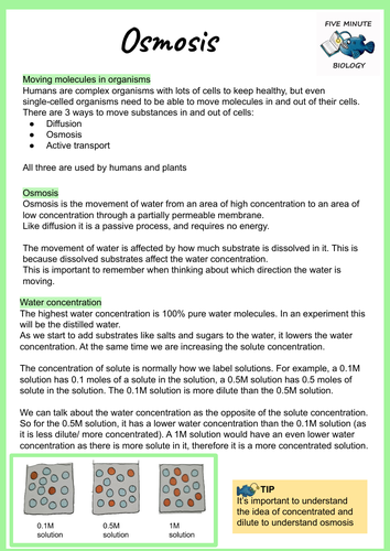 AQA GCSE Biology Osmosis Revision Sheet | Teaching Resources