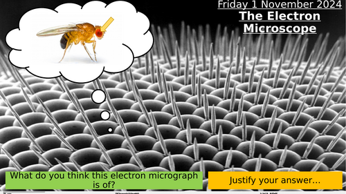 3.2 The Electron Microscope | Teaching Resources 3.2 The Electron Microscope | Teaching Resources