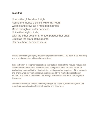 GCSE English Literature "Snowdrop" by Ted Hughes - revision notes ...