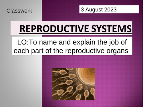 KS3 Science Reproduction - Reproductive systems | Teaching Resources