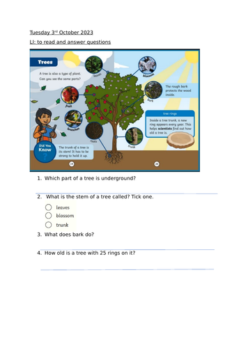 Reading Comprehensions Year 1 | Teaching Resources