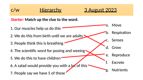 KS3 Science Cells - hierarchy | Teaching Resources