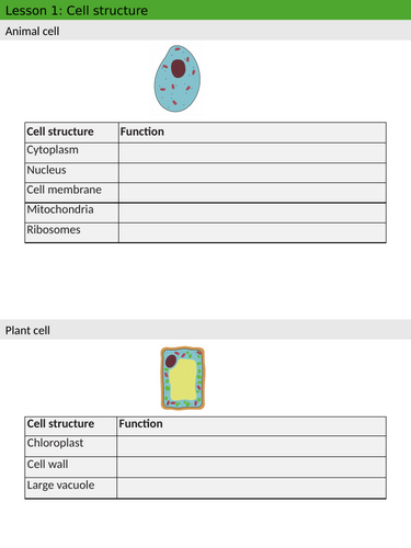 Edexcel GCSE Biology: Topic 1- Key Concepts L01: Animal, plant and ...